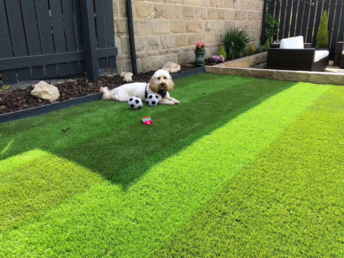 Striped Artificial Grass For Sale or Installed | Half Meter Stripes
